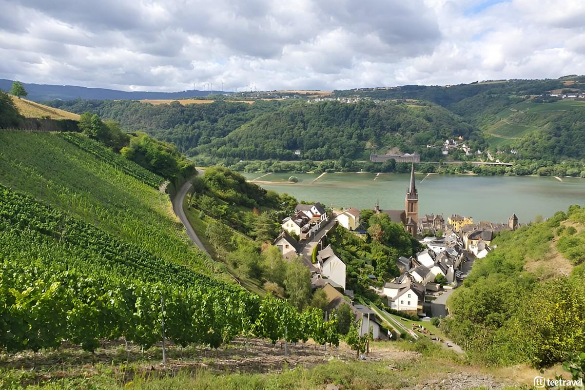 Descubre la Alemania romántica con la Ruta del Rhin - Tee Travel