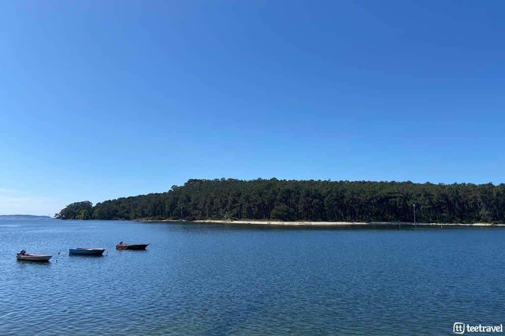 El Origen: Ruta del Mar de Arousa y Río Ulla - Viaje en Barco