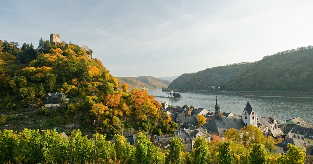 Ruta del Rhin: Rutas y tours de senderismo en el Valle del Rin organizados